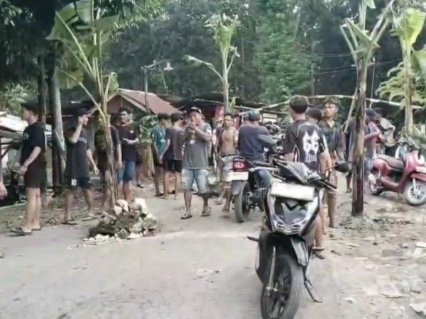Cuaca Ekstrem, Harga Cabai Rawit Setan Tembus Rp67 Ribu per Kilogram ...