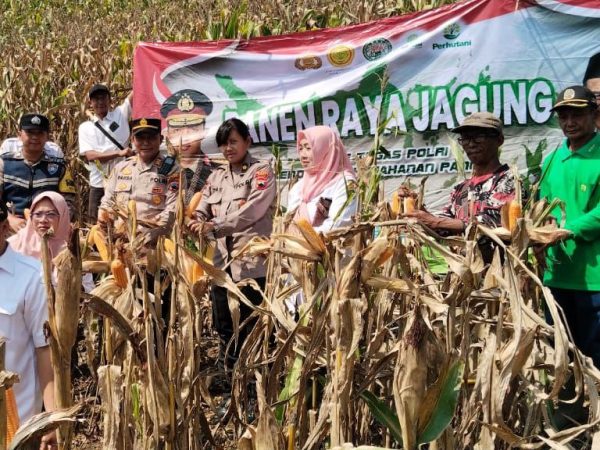 Ruas Jalan Kota Pati Sempat Tersendat Imbas Banjir - Mondes